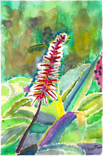 Las Pinturas de Riccardangelo: Hojas y flores; acuarela seca. 2000