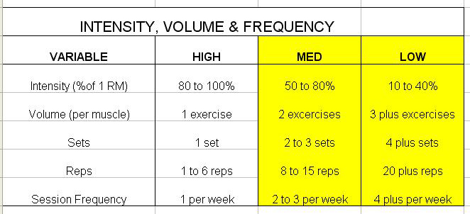 Kissena Track Racing: Typical Weight Training during the Hypertrophy ...