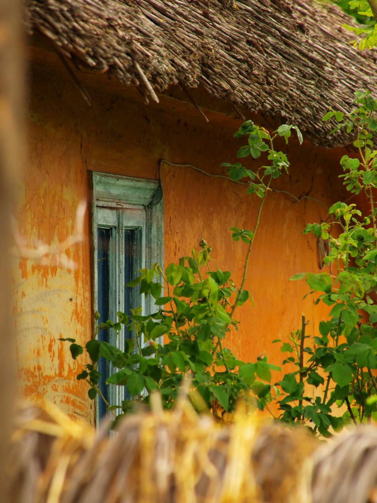 Eva Cristina Androniu: Delta Dunarii in imagini (3)