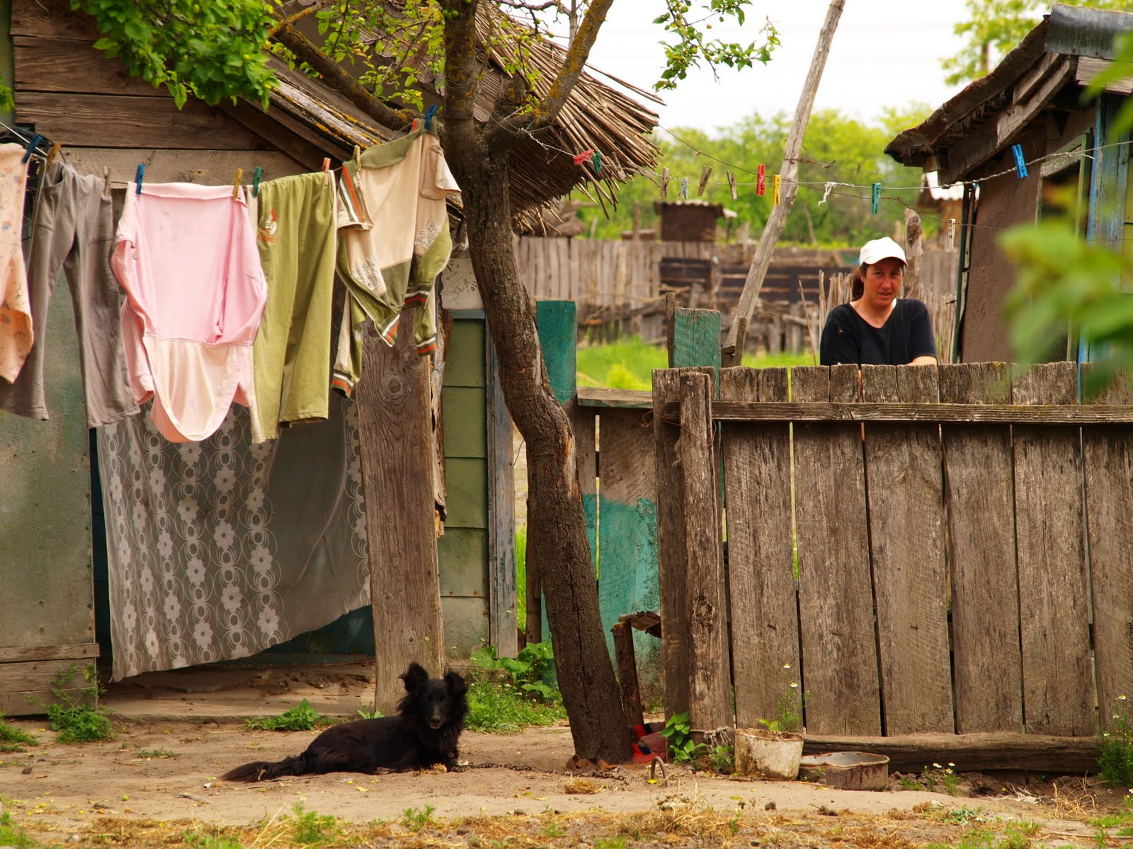 Eva Cristina Androniu: Delta Dunarii in imagini (3)