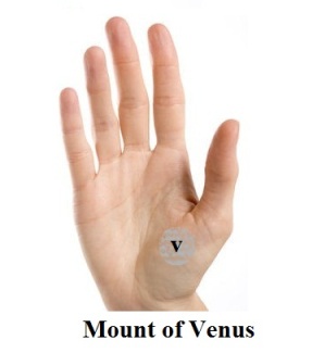 Mounts of Venus on the Palm~PalmFate