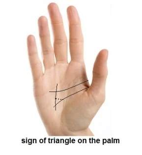 Palmistry | Sign of Triangle On The Palm ~ INDIAN PALM READING | HAST ...