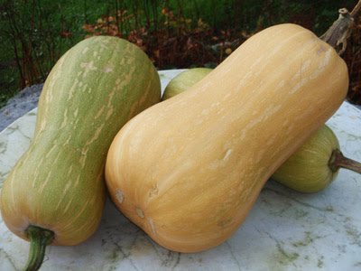 FORMAS SENCILLAS DE COCINAR LA CALABAZA | COCINA SANA Y FÁCIL