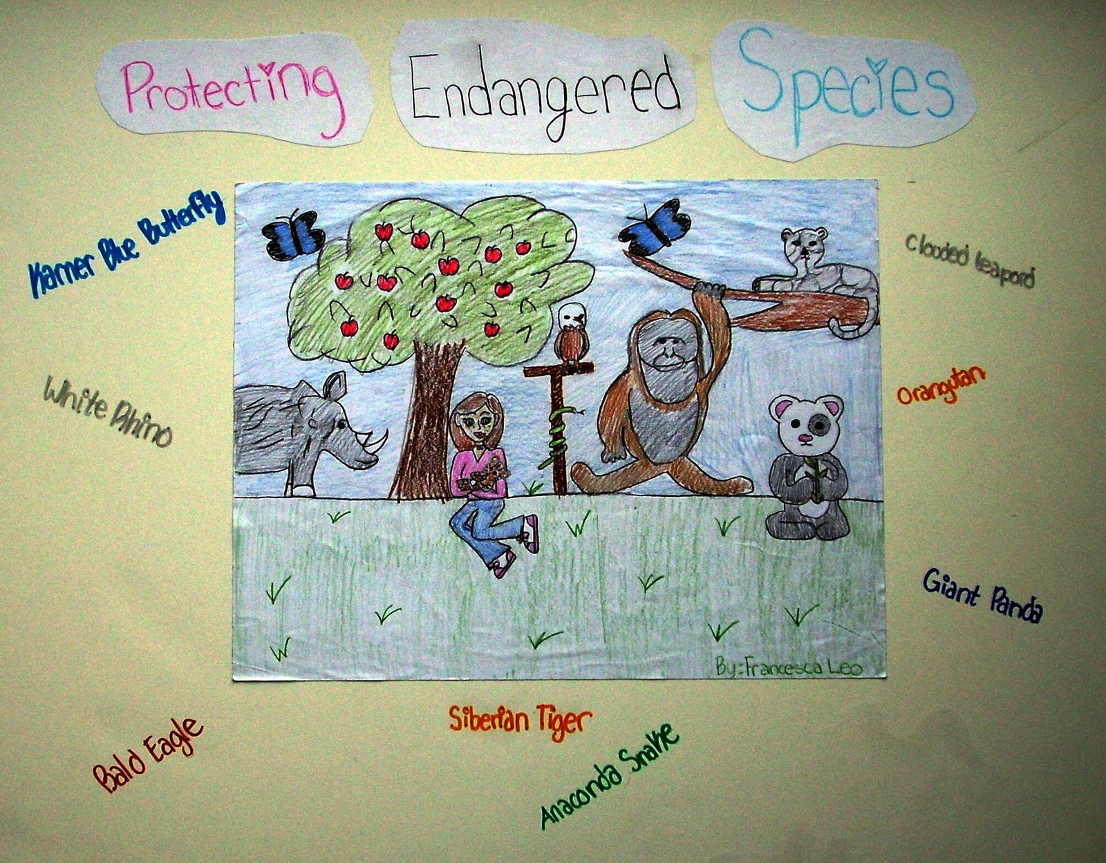 .: Protecting Endangered Species