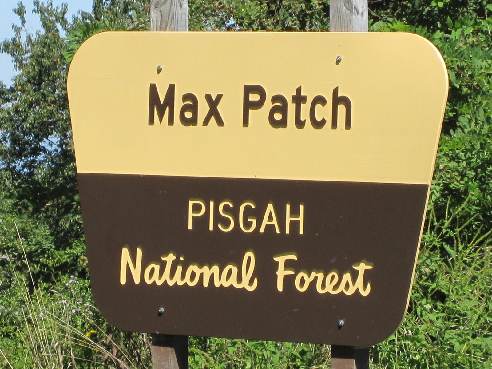 Married at Max Patch, Hot Springs North Carolina ~ NC Wedding Blog