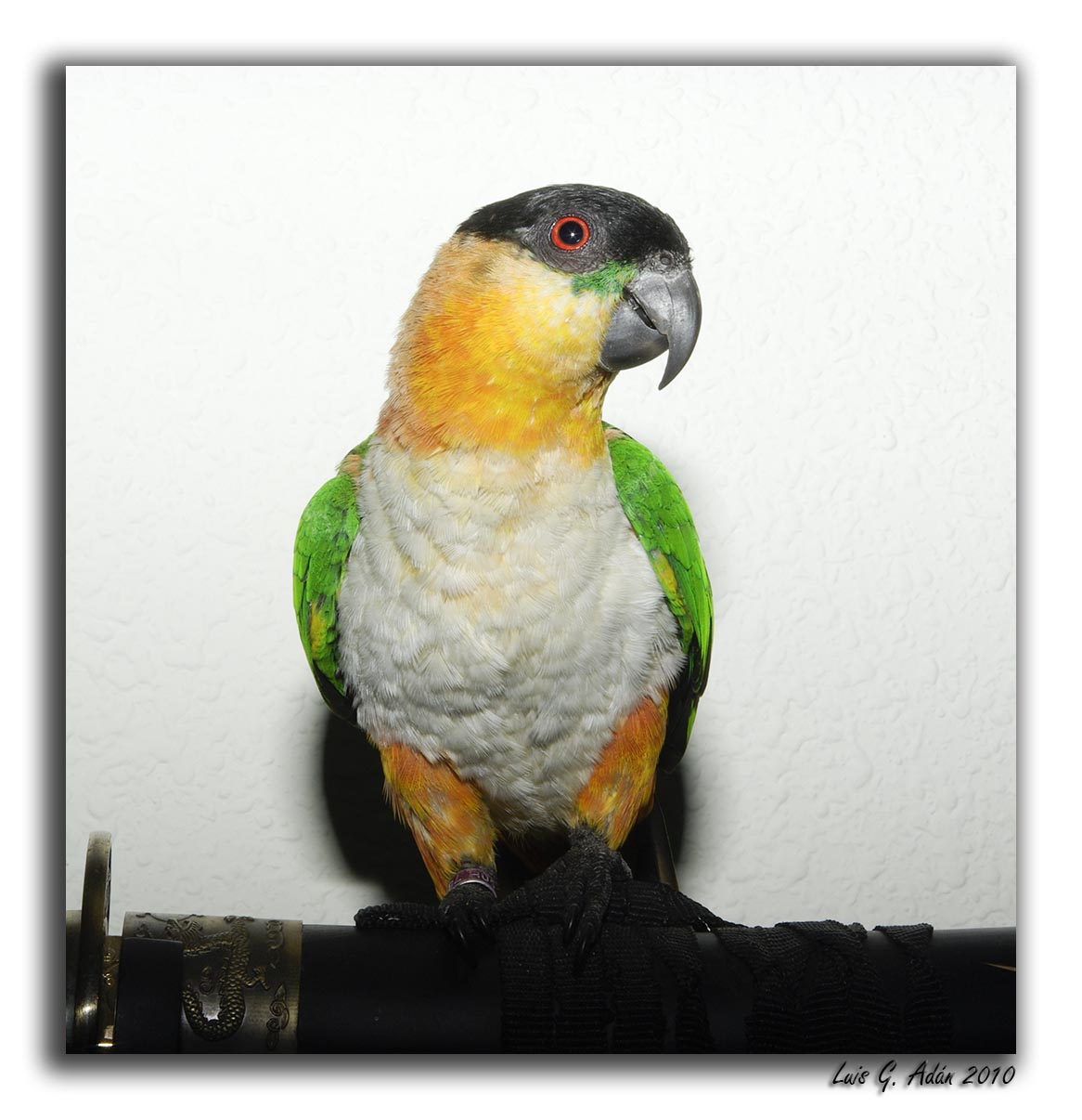 El Caique: El origen de los caiques