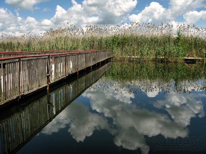 Photographis: Snagov Lake - Romanian Landscapes