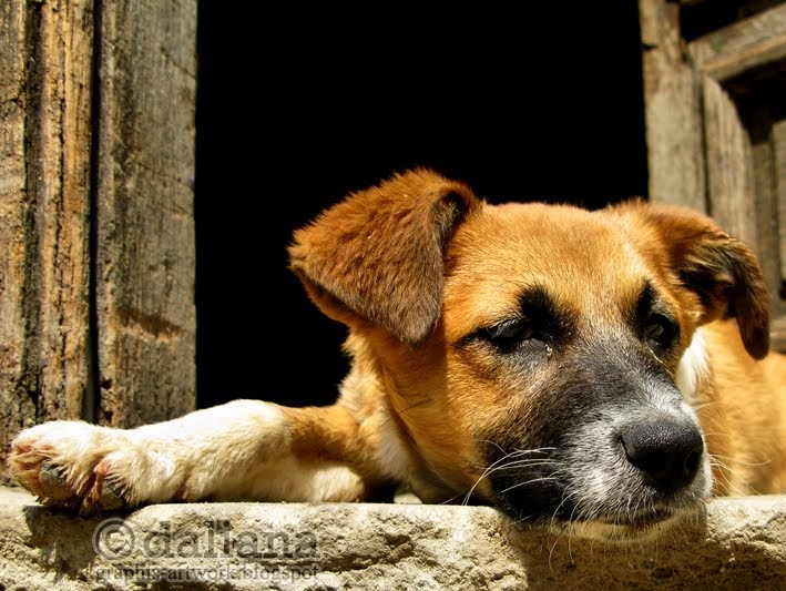 Photographis: Ground Level - Memories Series