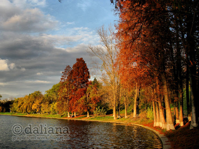 Photographis: Forever Autumn - Photography