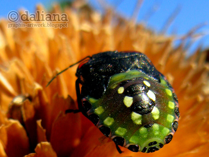 Photographis: October 2010