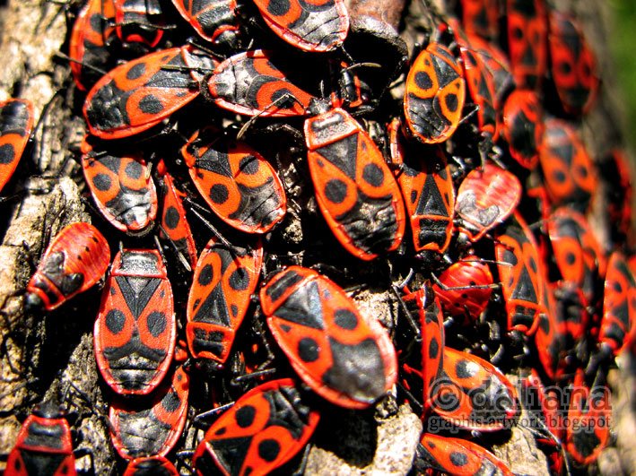 Photographis: October 2010