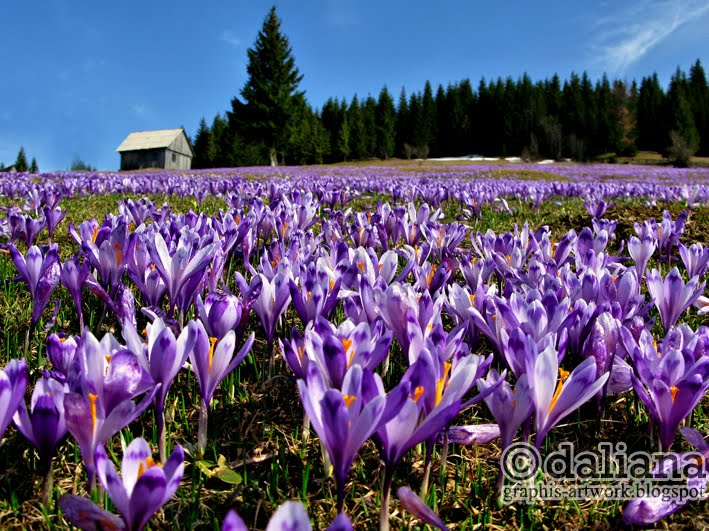 Photographis: December 2010