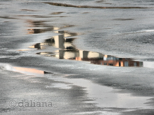 Photographis: Winter Forever