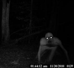 The 50 Best Trail Cam Photos of 2010
