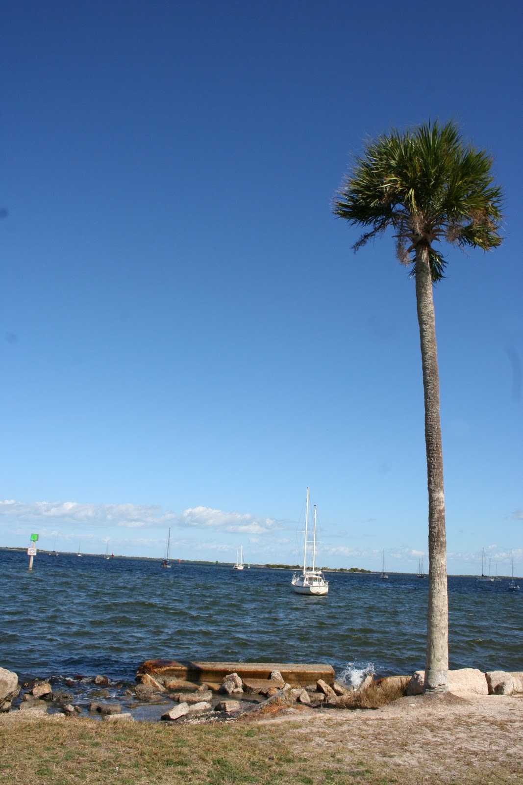 Tifography: Sand Point Park, Titusville, FL