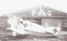 Roland C.II Walfisch