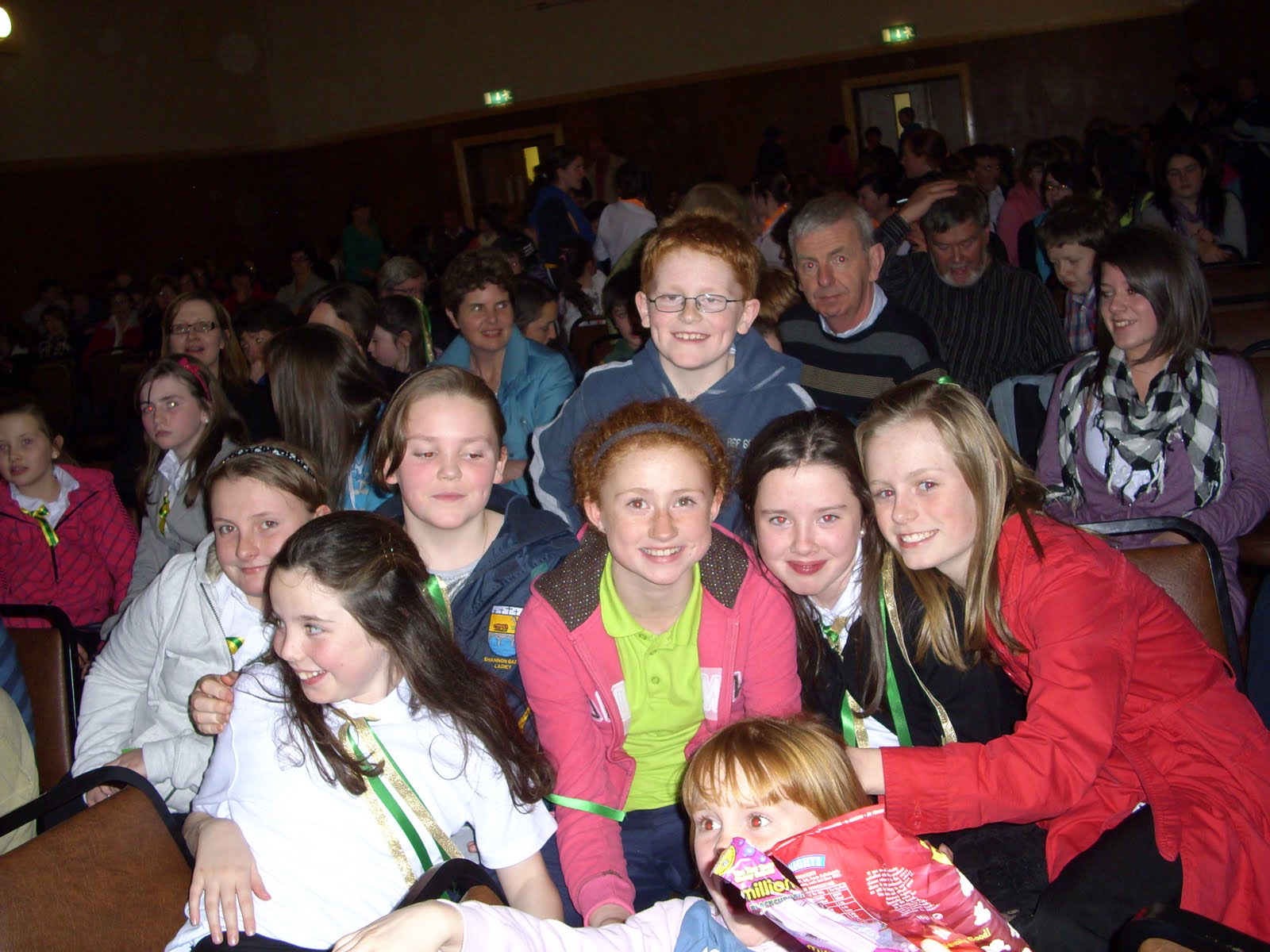 Shannon Gaels Minor Club