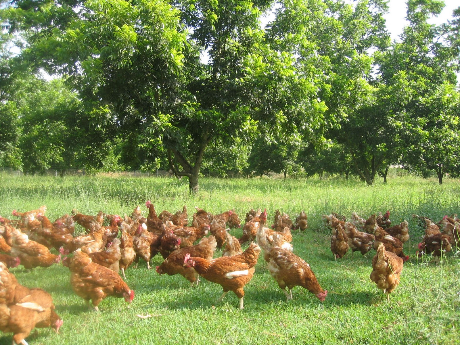 biocesta.malaga: ...y un huevo