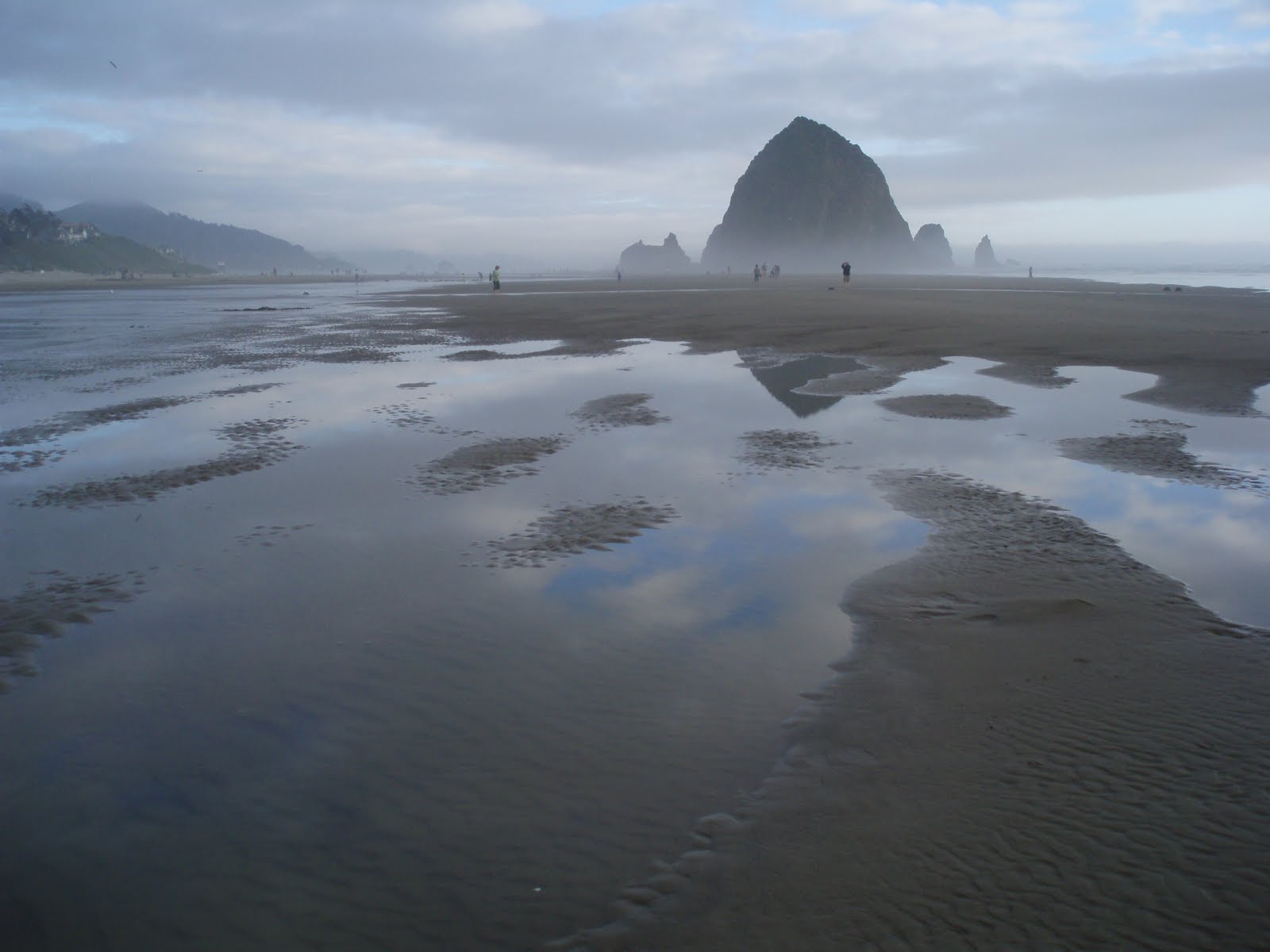 Adventure Bee: Clatsop Loop Trail, Ecola State Park