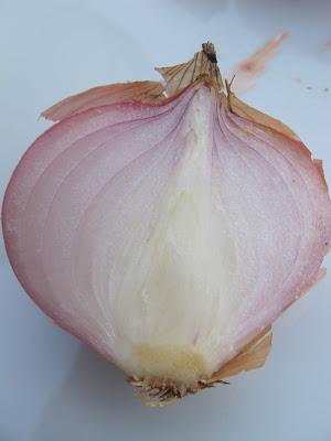 Las capas de cebolla | titulo blog