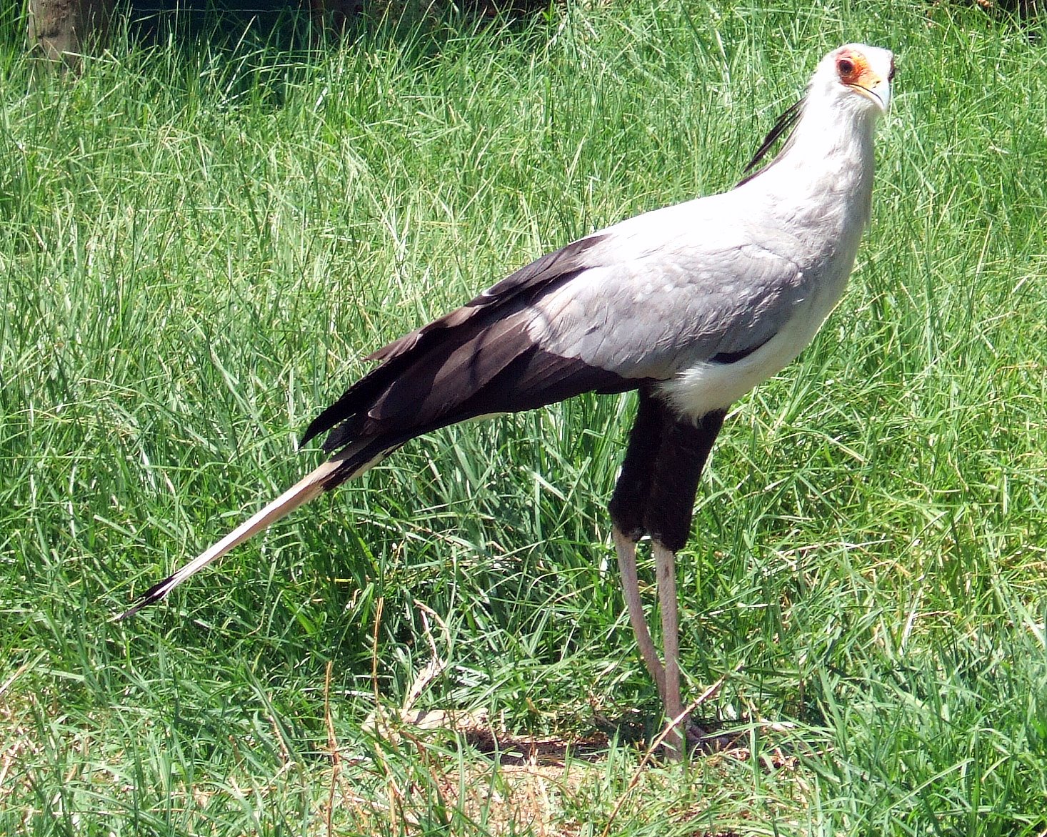 don sees the world: November 2007