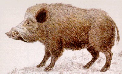 Barcelonetes: Per a la Queralt Molera. Dedicatòries