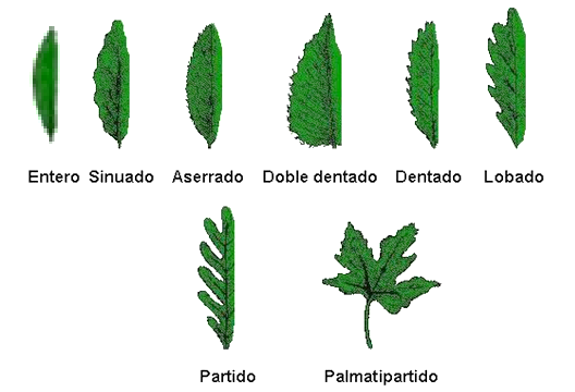 metodo de la ciencia