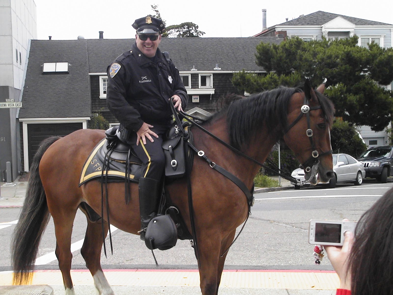 Bike and Hike Adventures: Police horse