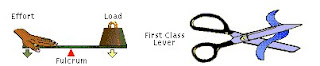 Fisica: Palanca