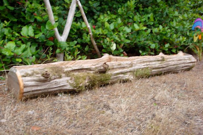 Cherish Earth Project: Log Planter Box