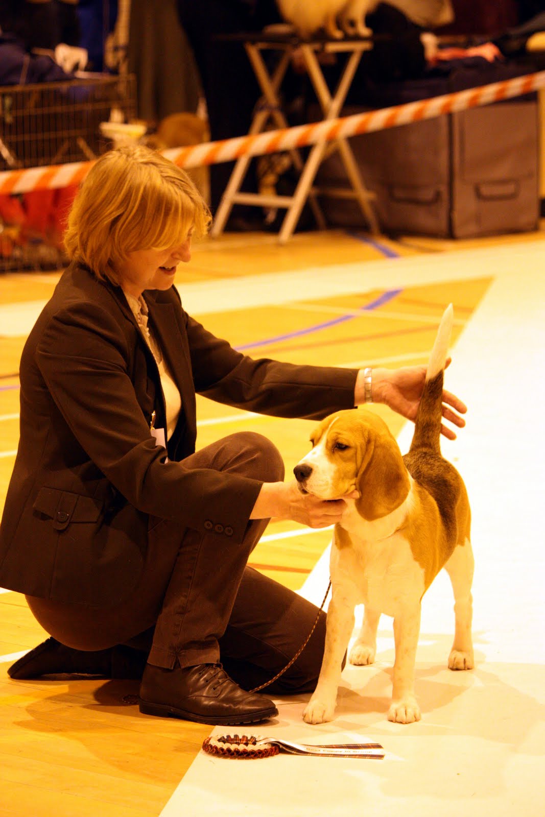 Spey Valley Dog Training Club: Banff, Moray & Nairn CC