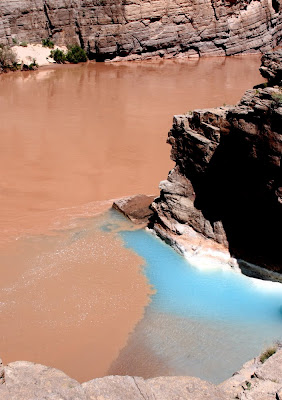 Desolation Dory Blog