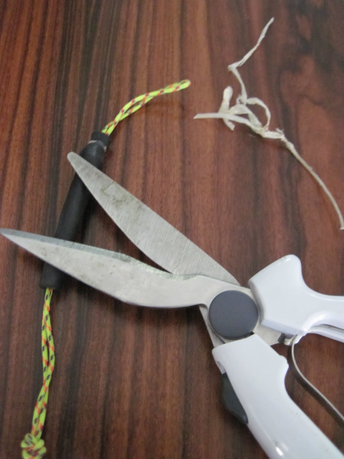 SettingSteel Spearfishing: Speargun Line Retainer Bungie