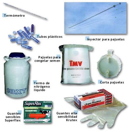 Equipo de Inseminacion Artificial: Equipo de IE