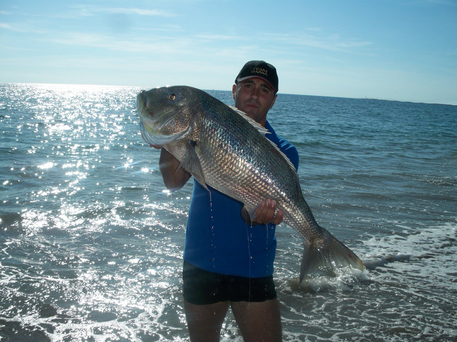 Machado SurfCasting: LA BESTIA! EXPECTACULAR DENTEX DENTEX