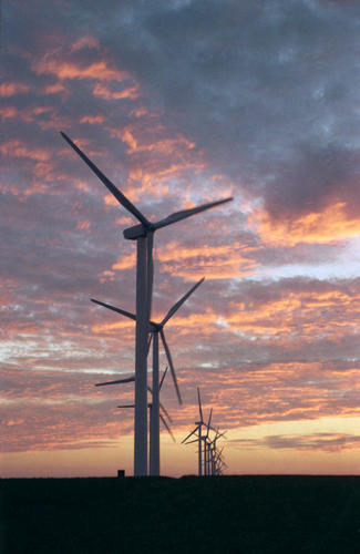 Lone Star Wind Power Plant ~ Wind Power Plant