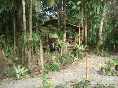 Sumbiling Eco Village- Your Rainforest holiday Specialist: Ulu ...