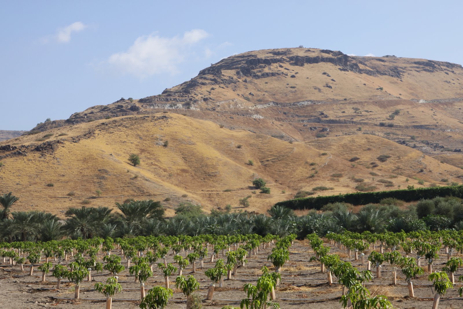Not All Who Wander Are Lost: Jordan Valley, Jordan and Israel