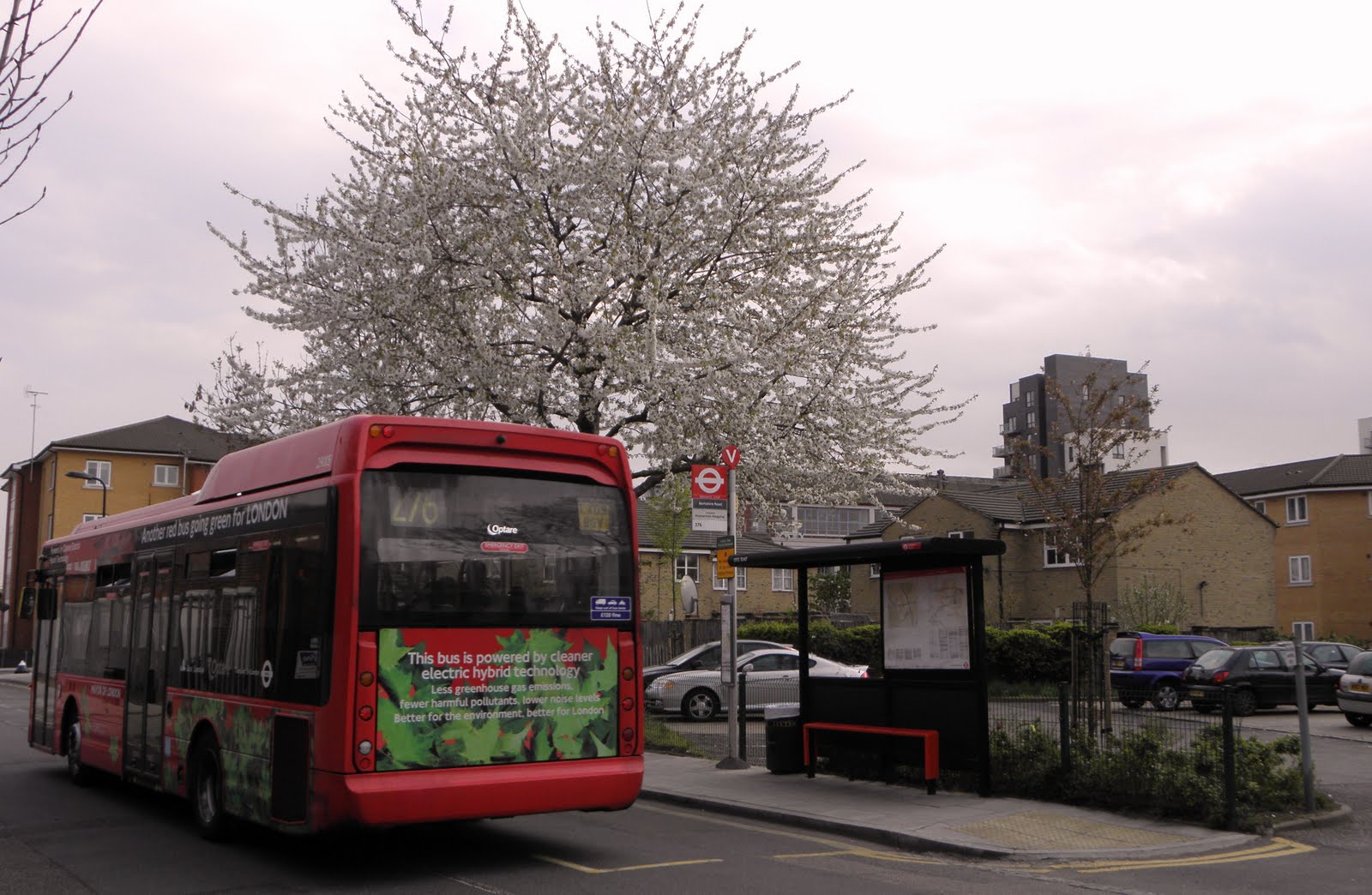 Hackney Wick Garden: Best Looking Bus Stop in All London