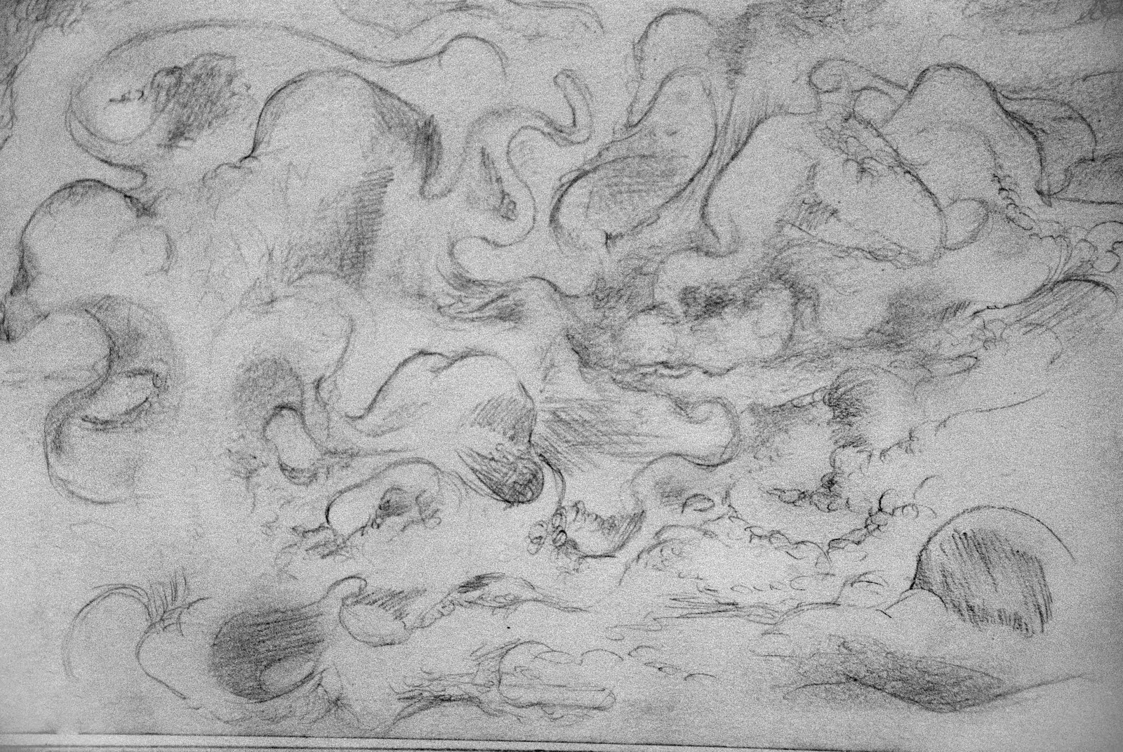 Nicholas McDougal: Figure Ground, Open/Closed Shape drawing, Fieldscape