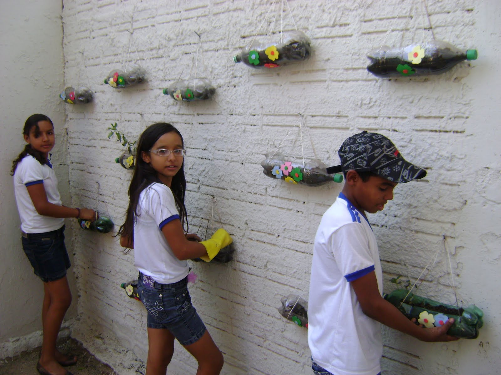 Ronan Fidelis de Melo: Projetos: Minha Horta e Horta Medicinal