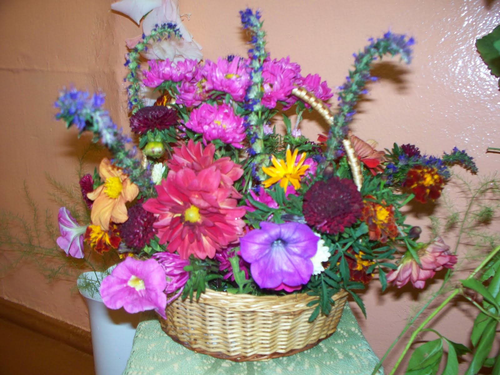 PIEDRUJAS PAGASTA BIBLIOTĒKA: "ZIEDI RUDENĪ"