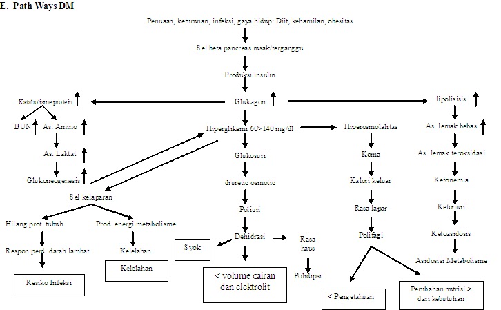 pathway Diabetes melitus | Rachmalluucciioouuss