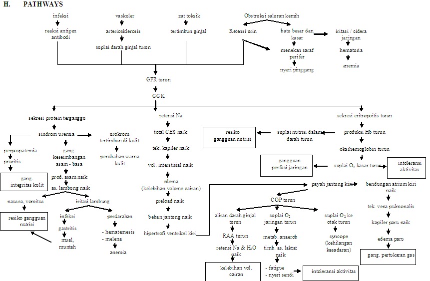 pathway GGK gagal ginjal kronik | Rachmalluucciioouuss