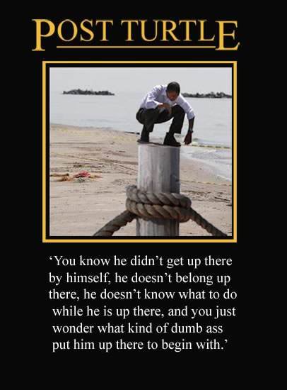 Storm'n Norm'n: Post Turtle...I think we heard this one before...no, no ...