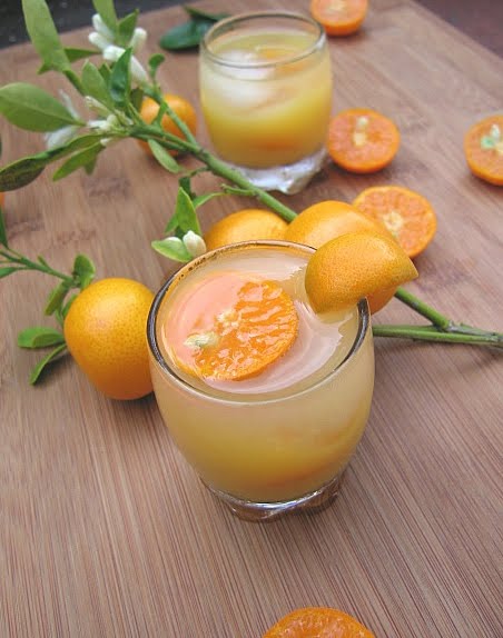 La Kitchen & Everyday Things: Calamondin: A Little Known Treasure