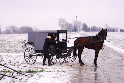Amish Mud Sales - Photo Essay