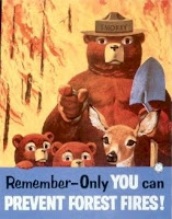 The stories La tells....: Smokey the Bear