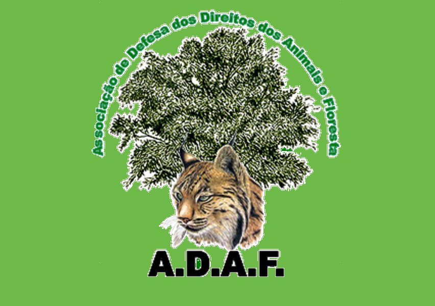 ADAF