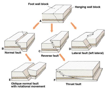 Just Ncet's_: kekar dan sesar